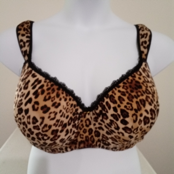 Ashley Stewart | Intimates & Sleepwear | Ashley Stewart Butterfly ...